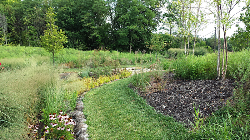 Green Infrastructure Design for Wetlands Reclamation – University of ...