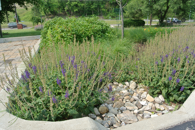 Green Infrastructure for CSO Control – City of Aurora, IL - Strand ...