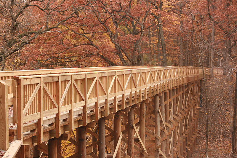 Park Improvements – Goodenow Grove Nature Preserve – Beecher, IL ...