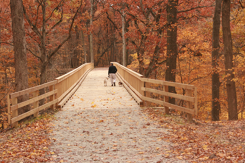 Park Improvements – Goodenow Grove Nature Preserve – Beecher, IL ...