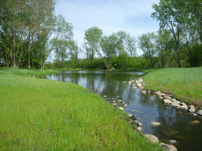 Urban Stormwater Runoff Pollution Control System Restoration – Madison ...