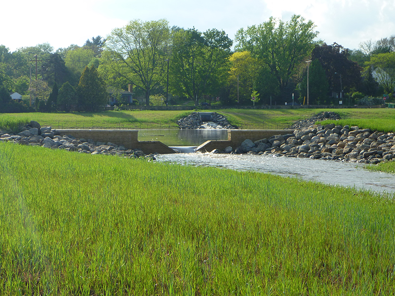 Urban Stormwater Runoff Pollution Control System Restoration – Madison ...